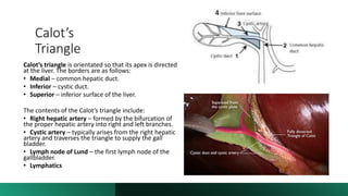Gall stone management Copy.pptx