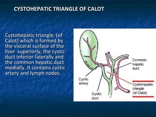 Cystohepatic Triangle