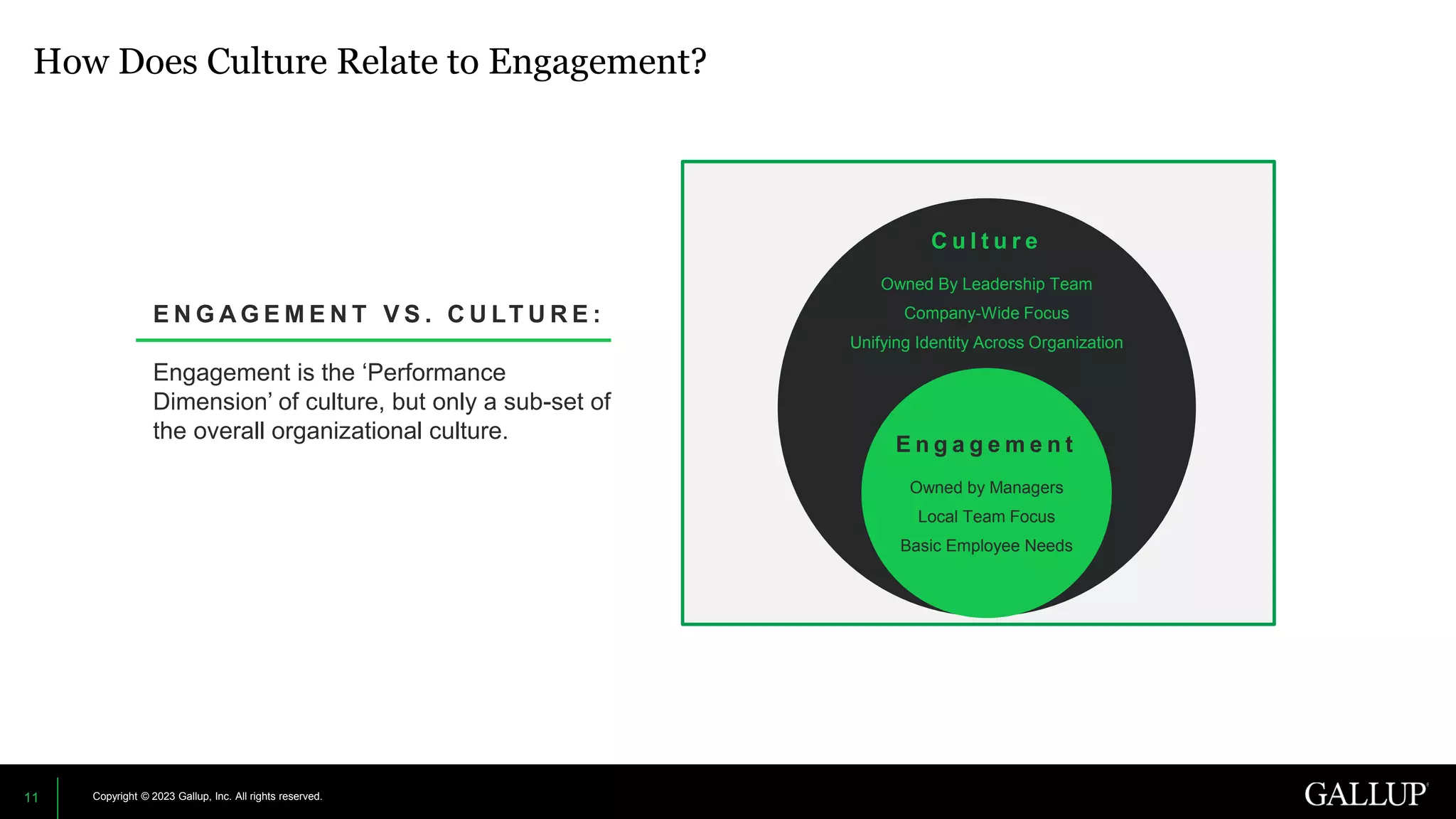 Gallup Culture Audit - Transformation Model 2023.pdf