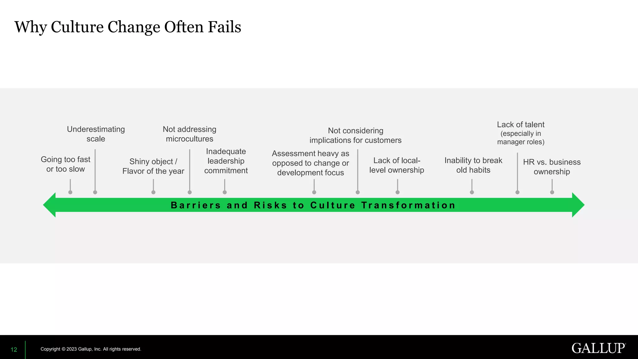 Gallup Culture Audit - Transformation Model 2023.pdf