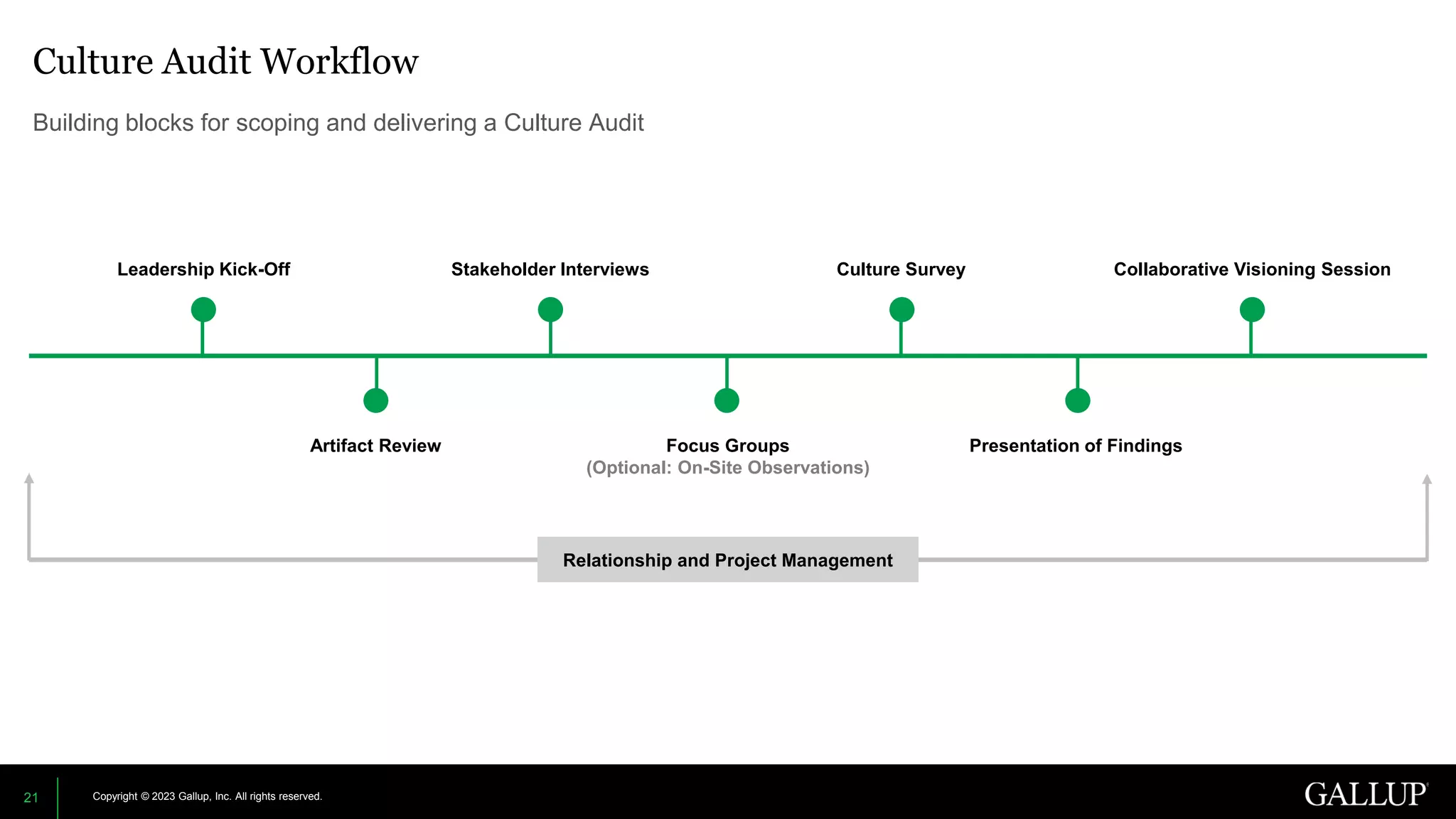 Gallup Culture Audit - Transformation Model 2023.pdf