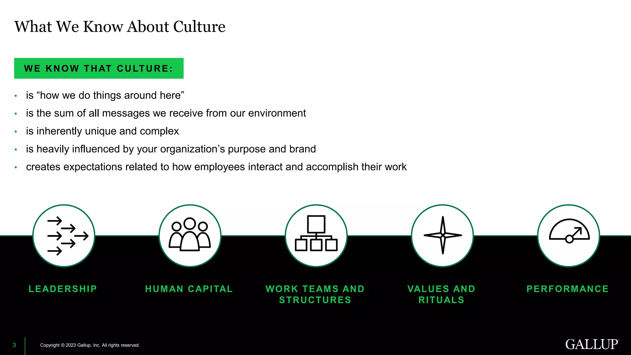Gallup Culture Audit - Transformation Model 2023.pdf