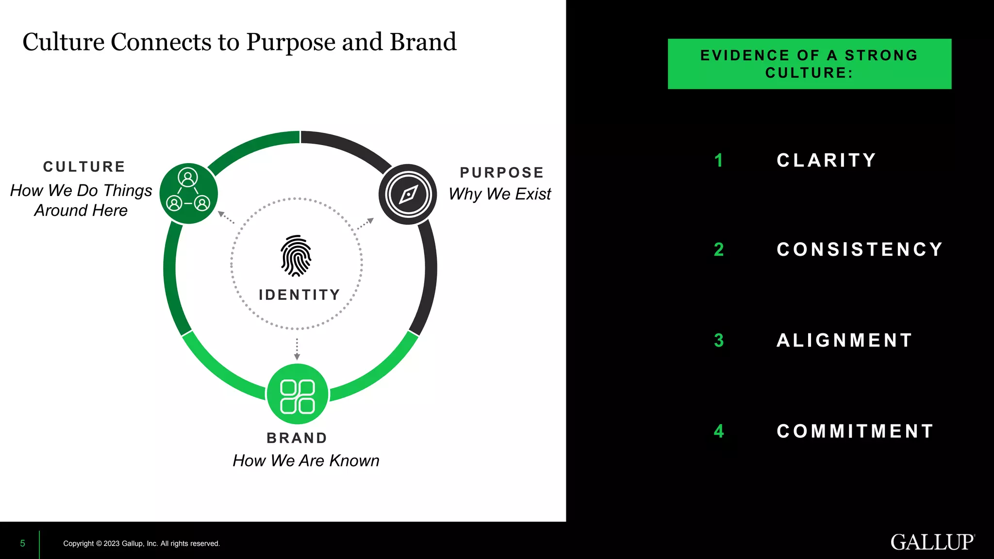 Gallup Culture Audit - Transformation Model 2023.pdf