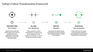 Gallup Culture Audit - Transformation Model 2023.pdf