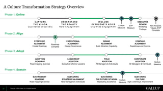 Gallup Culture Audit - Transformation Model 2023.pdf