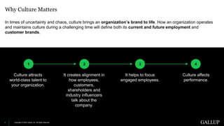 Gallup Culture Audit - Transformation Model 2023.pdf