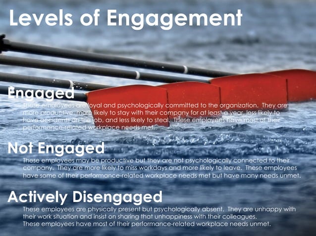 Gallup Q12's Employee Engagement Findings | PPT