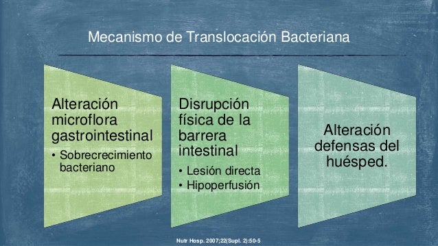 Galt y translocacion bacteriana
