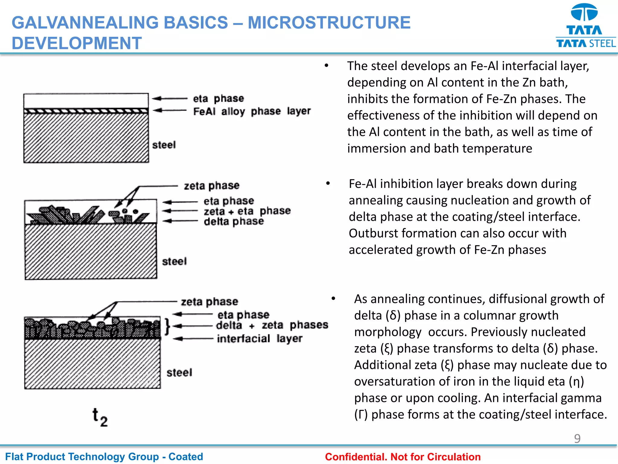 Galvannealed Coating – Basics - Tata Steel DigEca.pdf