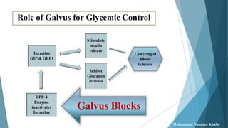 Galvus Product Plan | PPT