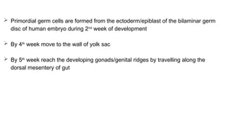 GAMATOGENESIS FERTILIZATION IMPLANTATION 2.pptx