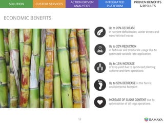 Gamaya Sugarcane Product Overview - Canefit | PDF