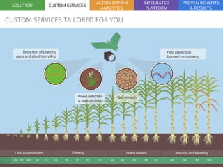 Gamaya Sugarcane Product Overview - Canefit | PDF