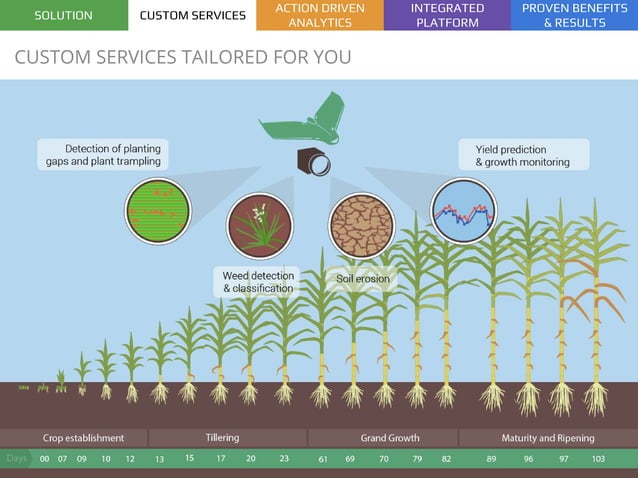 Gamaya Sugarcane Product Overview - Canefit | PPT