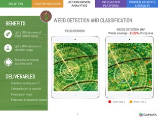 Gamaya Sugarcane Product Overview - Canefit | PDF