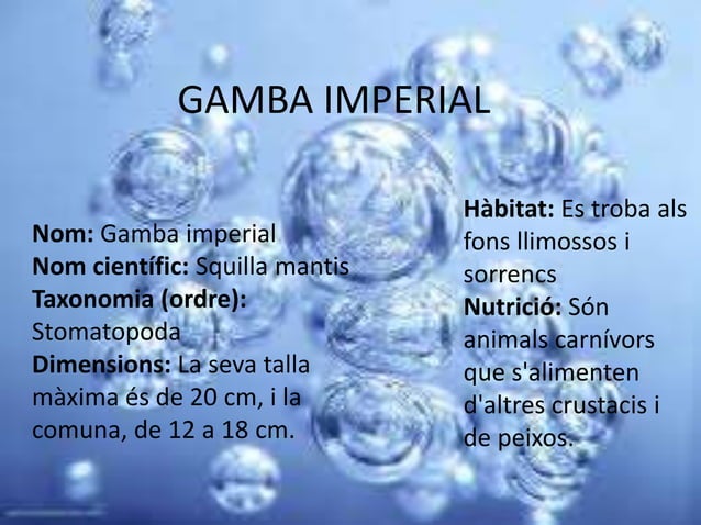 Gamba imperial | PPTX