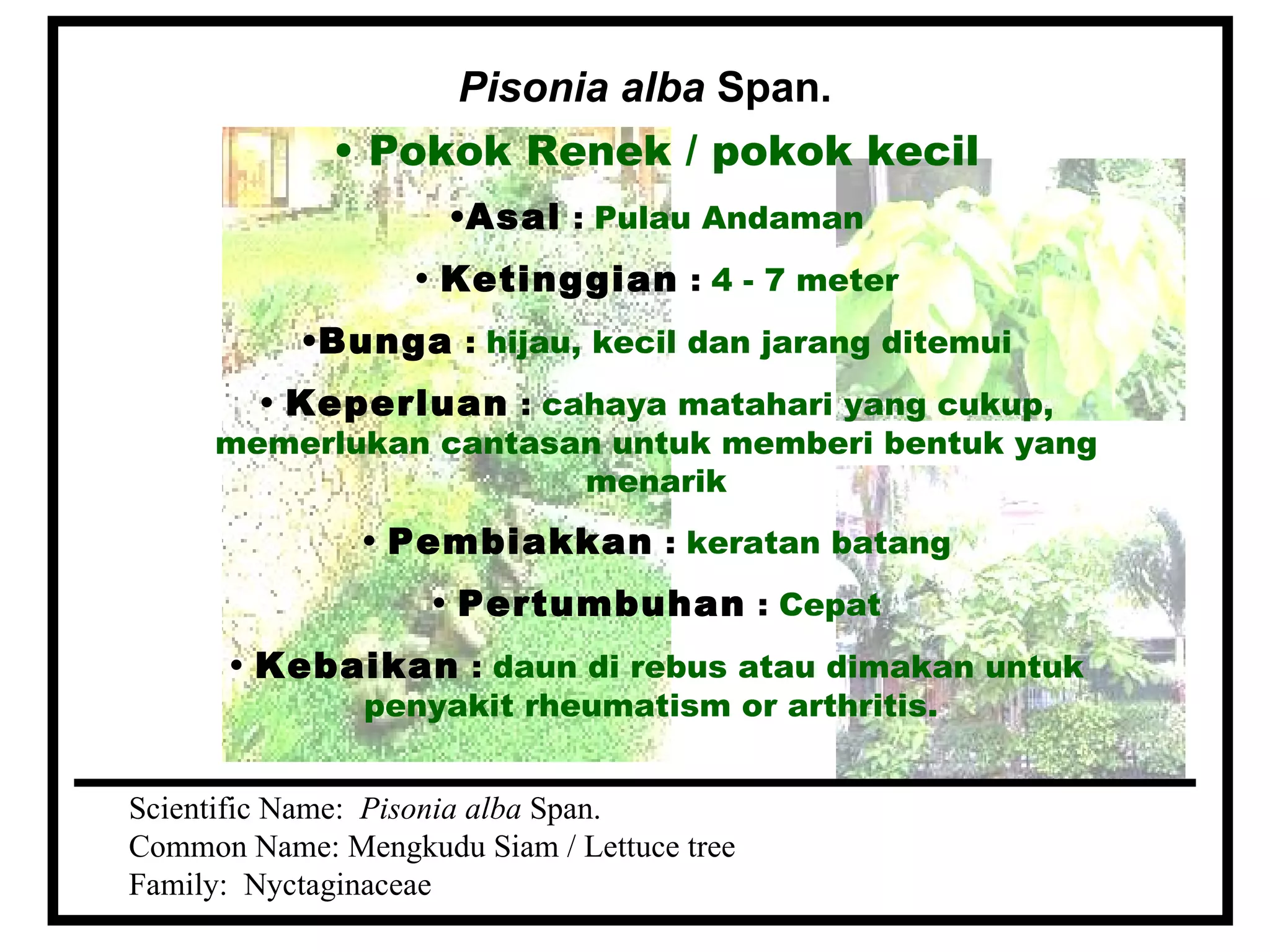 Gambar pokok | PPT