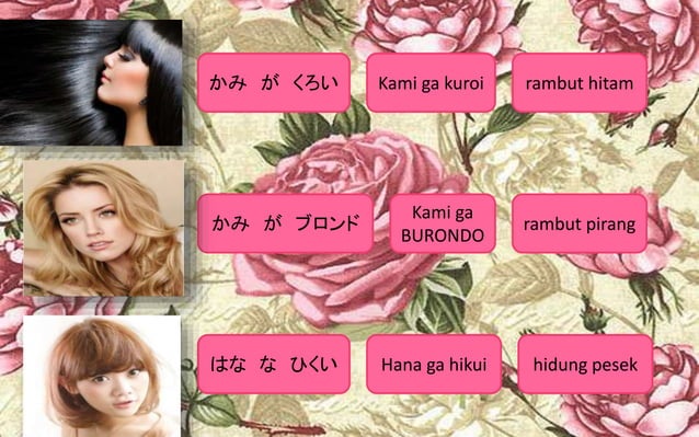 Gambaran Anggota Keluarga dalam Bahasa Jepang | PPTX