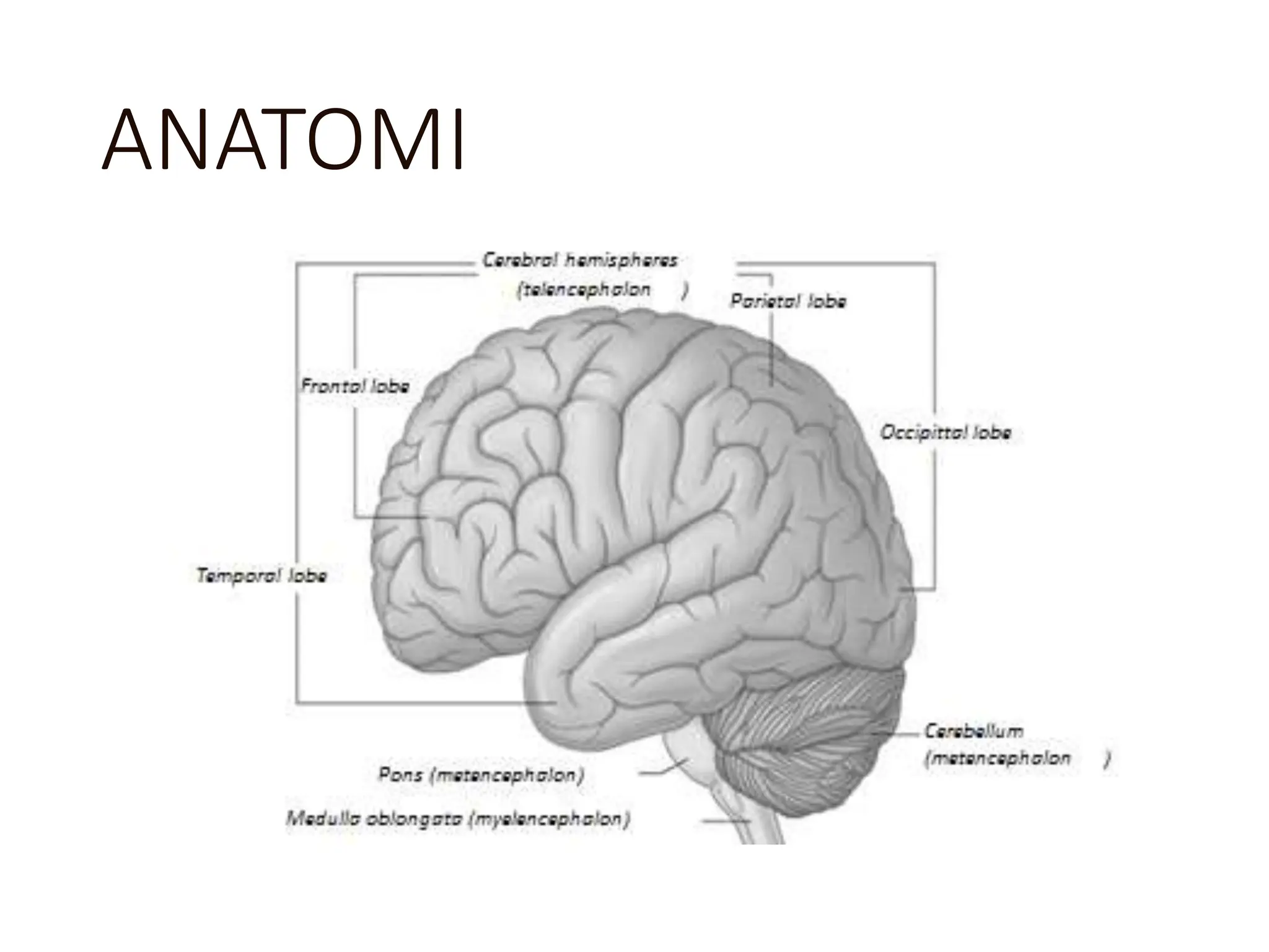 Gambaran CT Scan Radiologi CT Scan Radio | PPTX