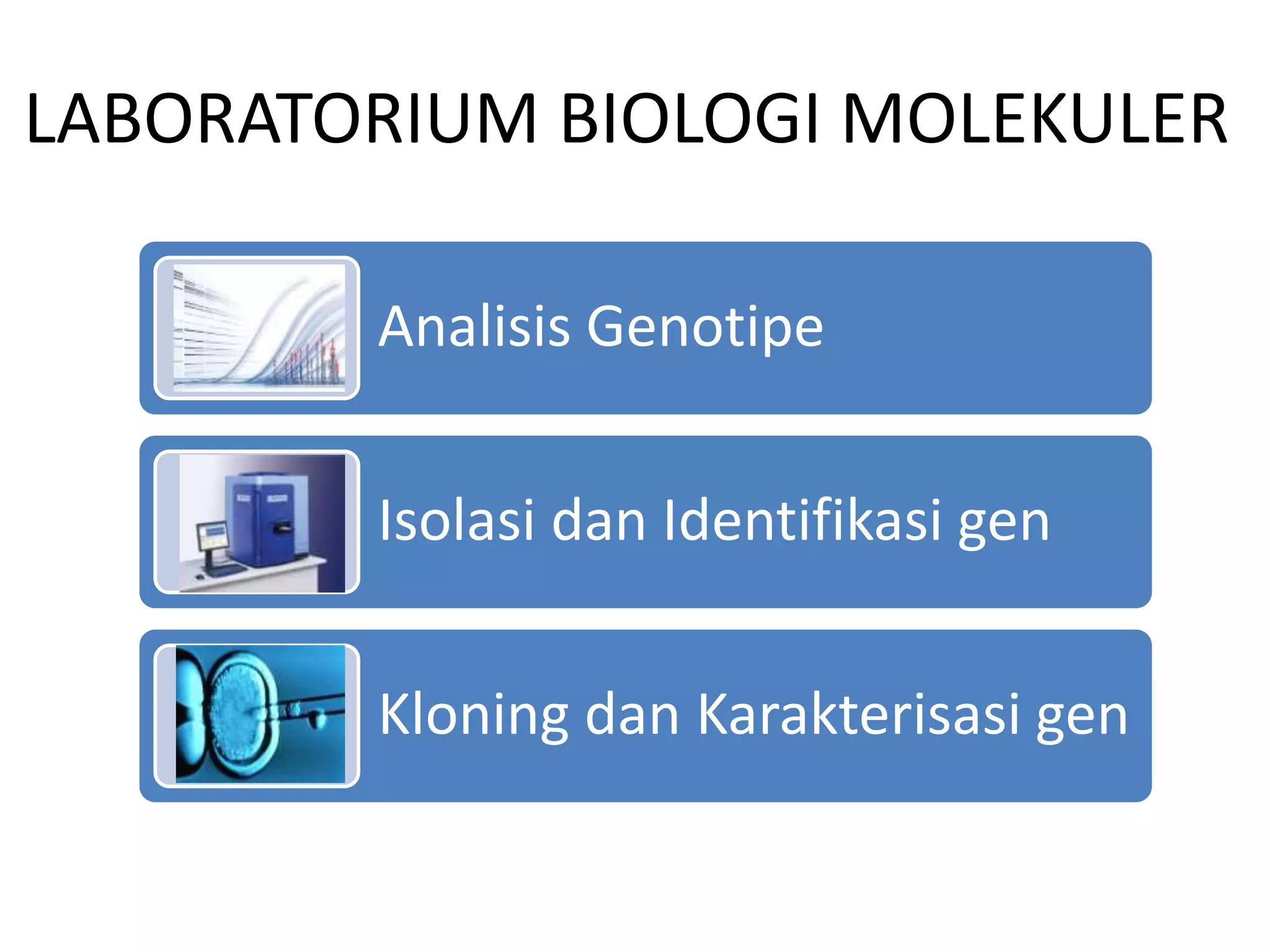 GAMBARAN UMUM LABORATORIUM MOLEKULER UNTUK PEMERIKSAAN SARS-COV 2.pptx