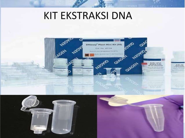 GAMBARAN UMUM LABORATORIUM MOLEKULER UNTUK PEMERIKSAAN SARS-COV 2.pptx