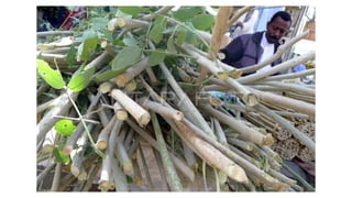 Gambar Asrama Thoharoh dan Penjelasannya.pptx