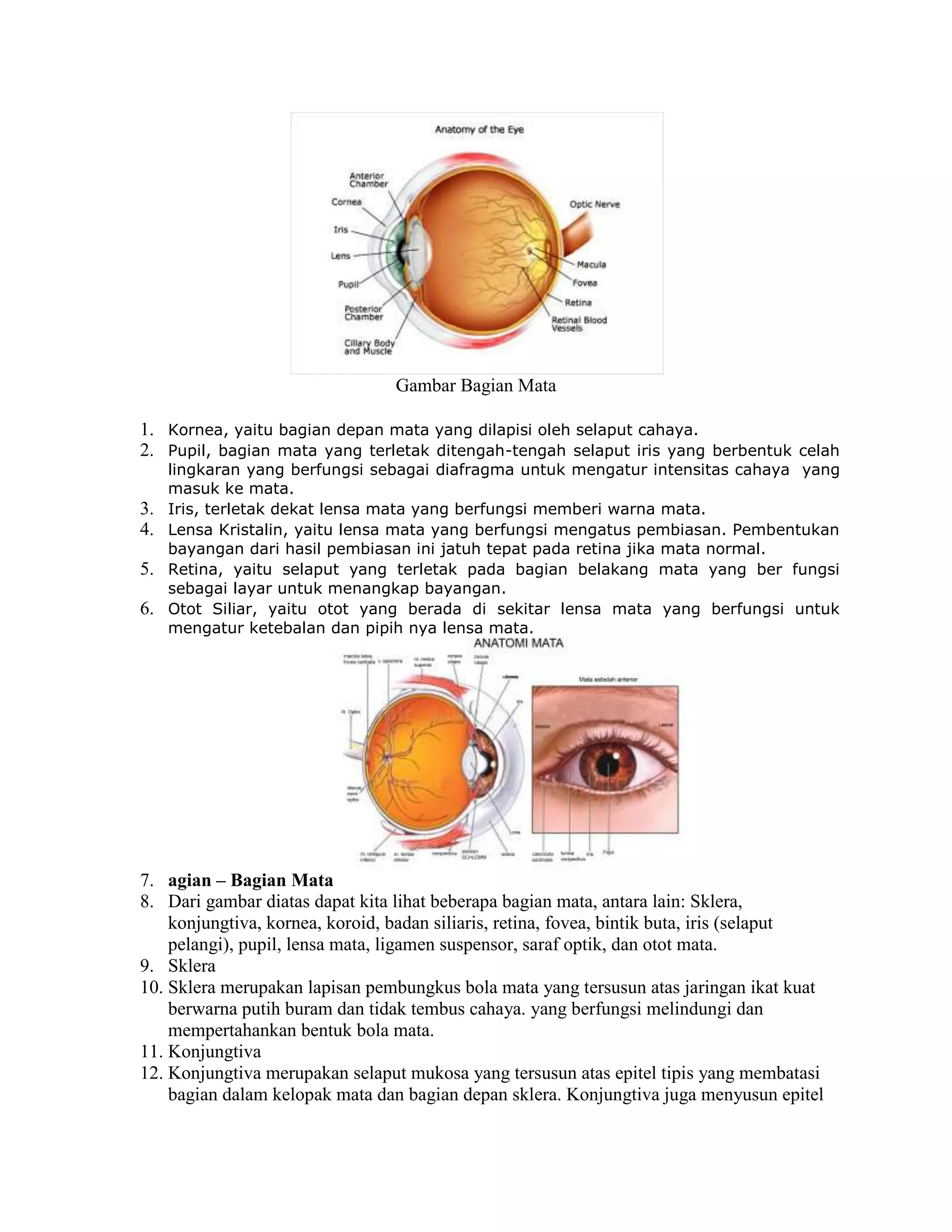 Gambar bagian mata | DOCX