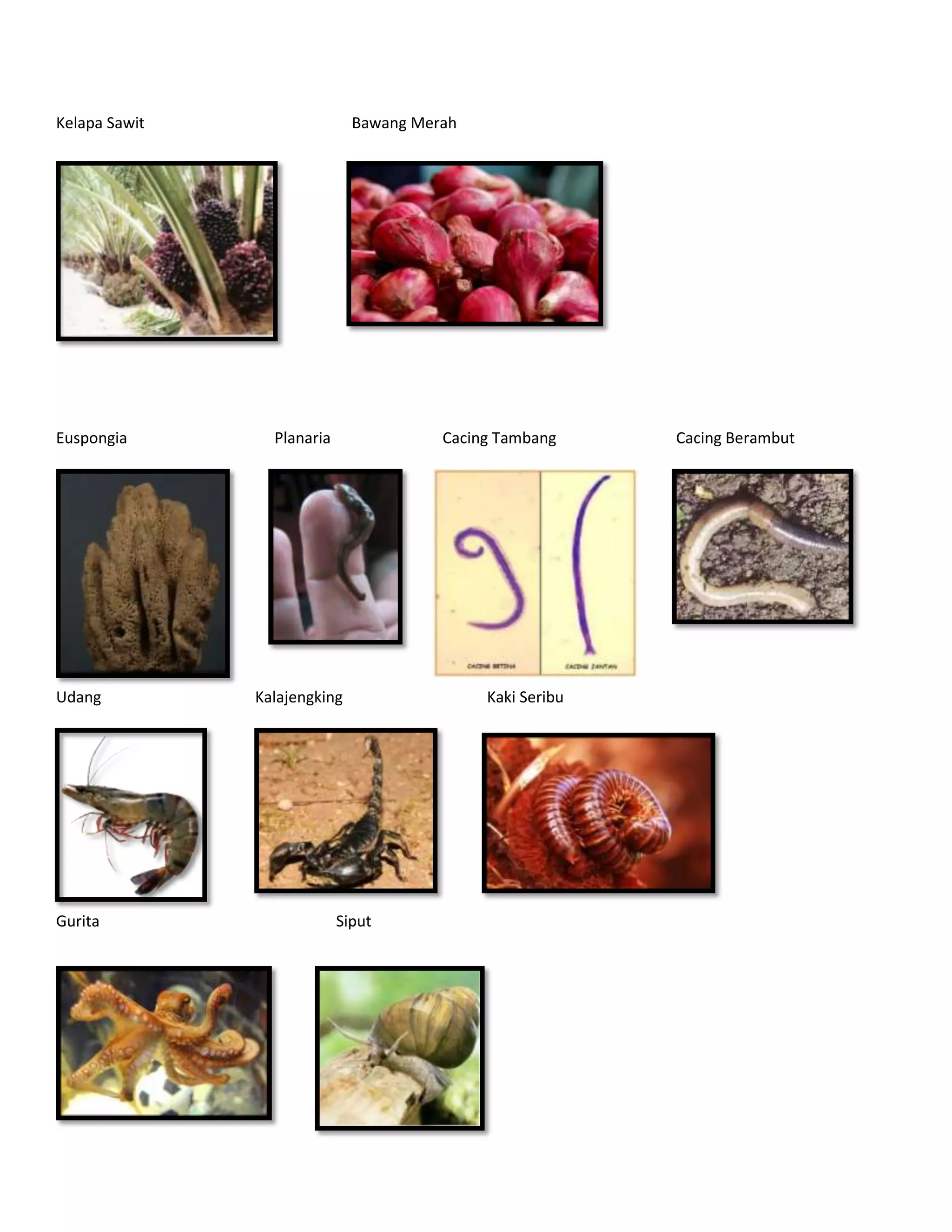 Gambar catatan ipa | DOCX
