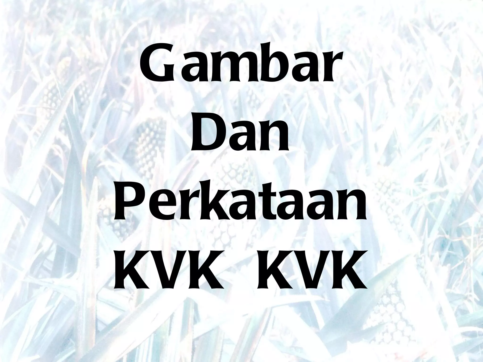 Gambar dan perkataan kvk kvk bil 1 | PPT