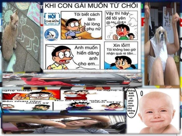 Gambar Gambar Terlucu Di Dunia Funiest Pic In The World