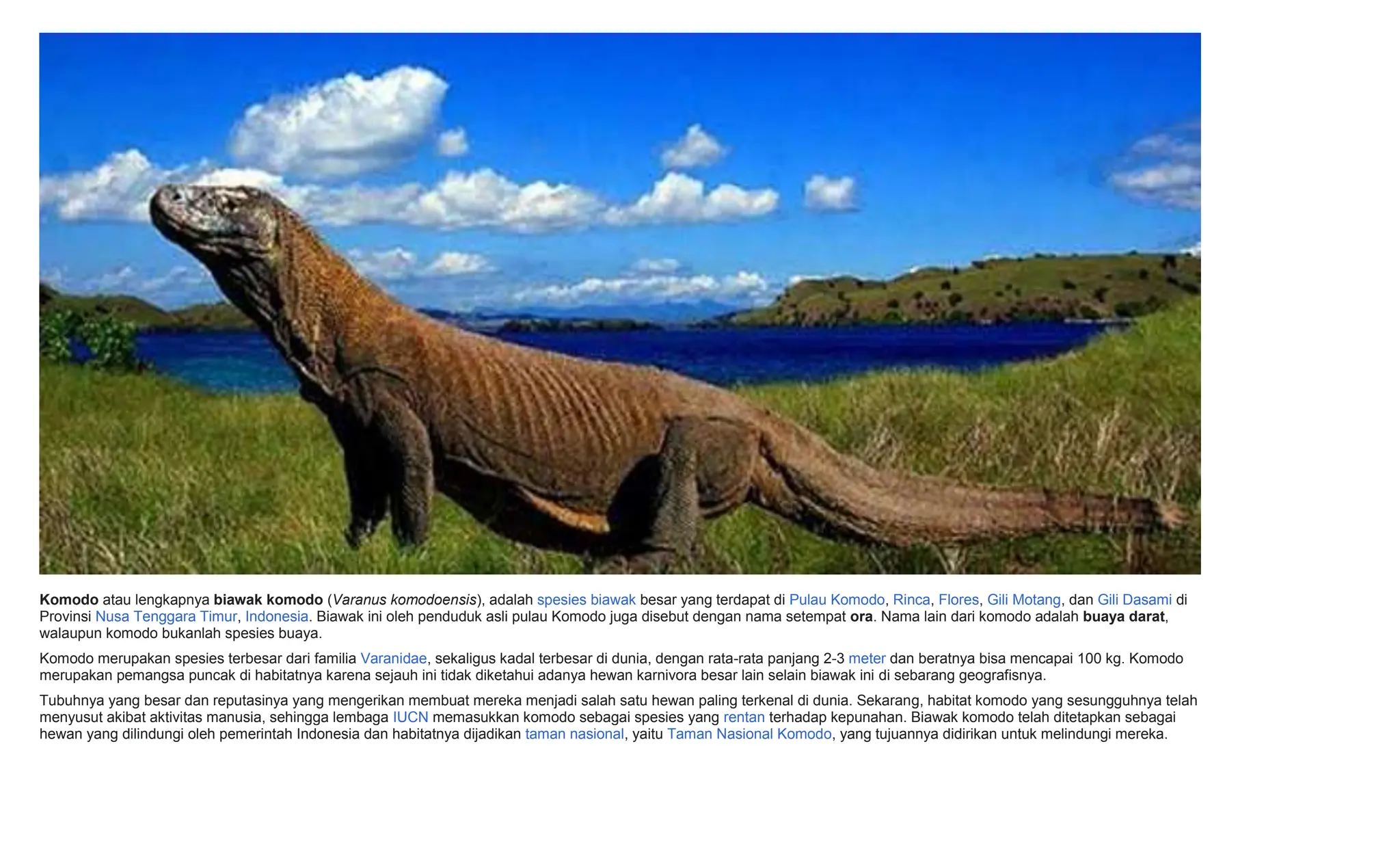 gambar komodo di indonesia comodo di indo.docx