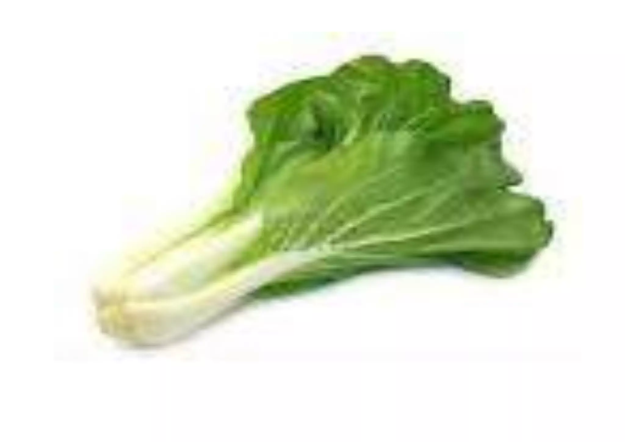 Gambar sayur | DOCX