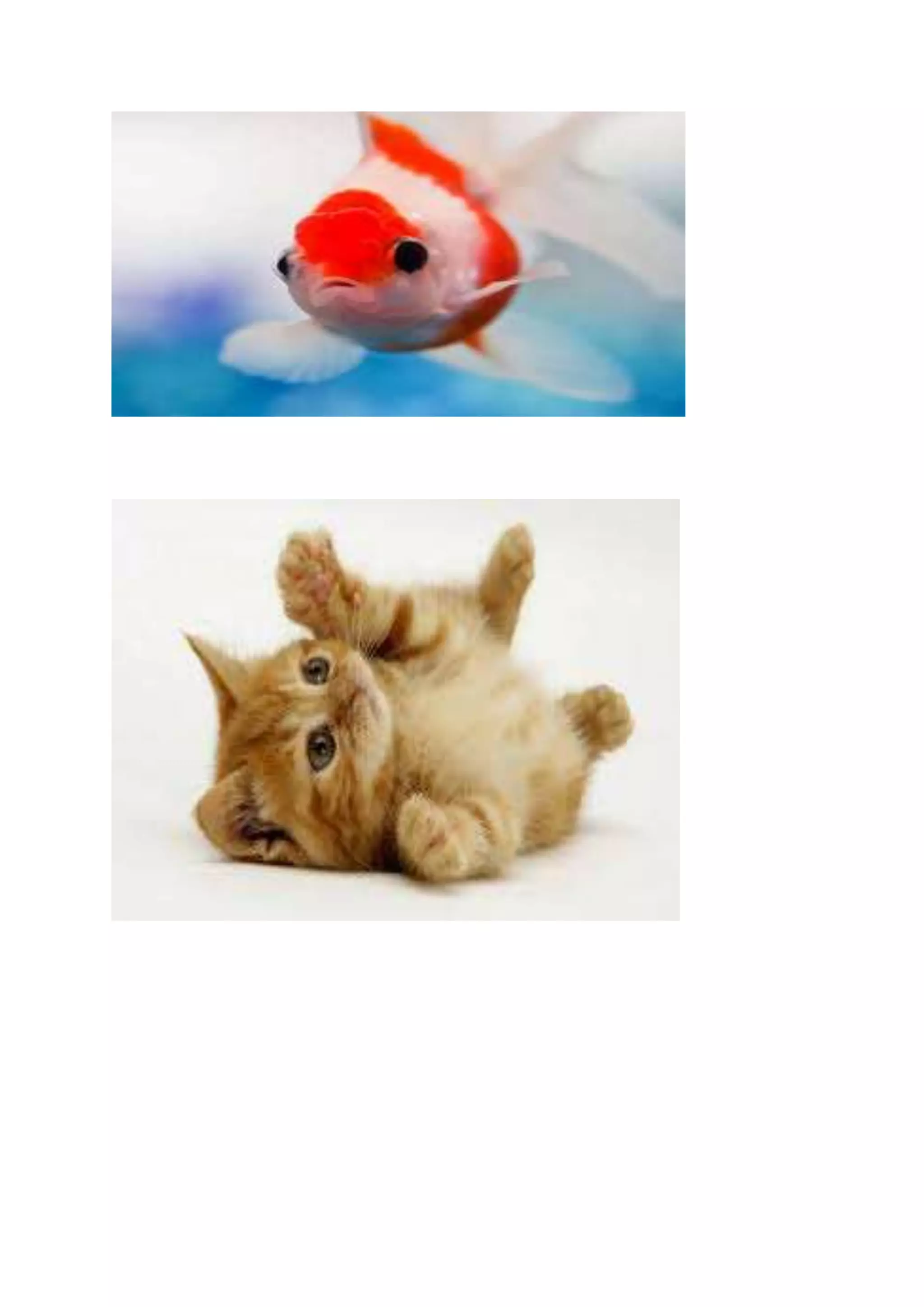 Gambar story board speaking | DOCX