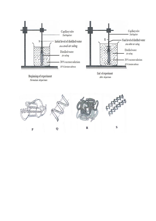 Gambar tiub visking | DOC