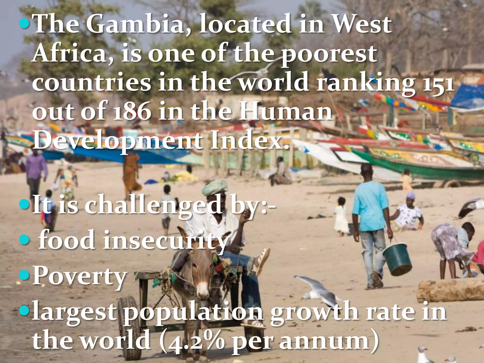 Gambia (undeveloped countries) | PPTX