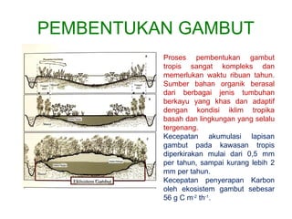 Pengelolaan Kawasan Gambut S1 Bag 1).ppt