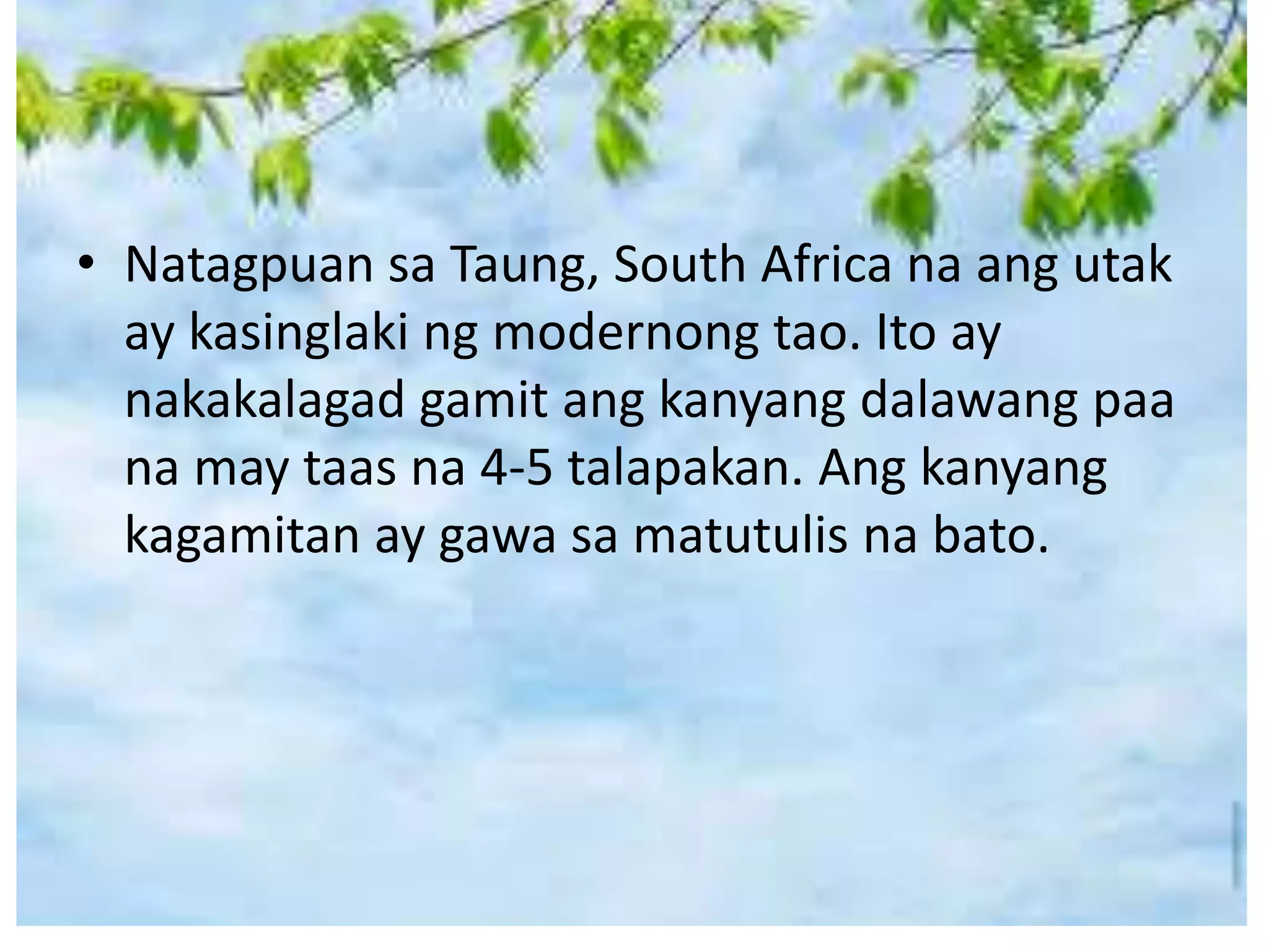Ebolusyon ng Tao-Wikarambulan Game | PPTX