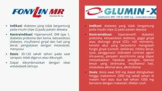 Game Changer Fonylin Glumin M for Diabetes.pptx