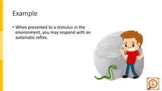 Game Design - Behavioral psychology Intro | PPTX