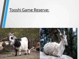 Game Reserves in Pakistan | PPT