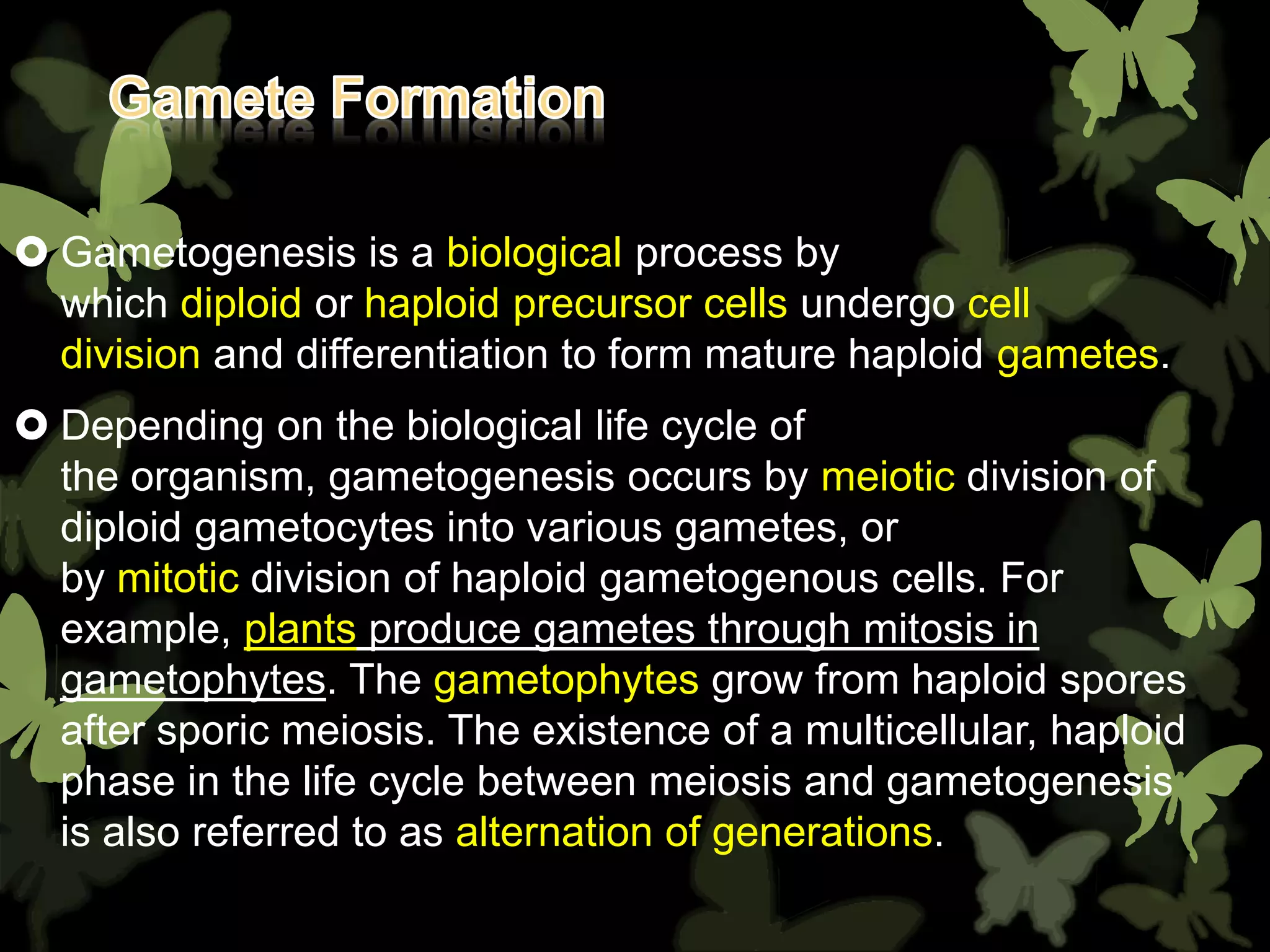 Gamete formation | PPTX | Reproductive Health | Diseases and Conditions