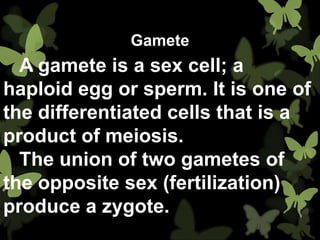 Gamete formation | PPTX | Reproductive Health | Diseases and Conditions