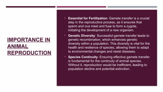 Understanding Gamete Transport: Key Mechanisms and Challenges in ...