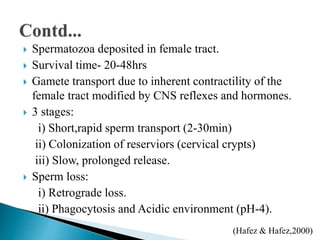 Gamete transport and fertilization | PPTX