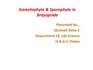 Gametofite and sporofite in bryopsida | PPTX