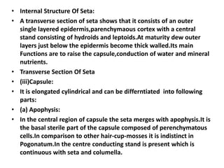 Gametofite and sporofite in bryopsida | PPTX | Gardening | Home & Garden