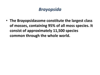 Gametofite and sporofite in bryopsida | PPTX