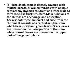 Gametofite and sporofite in bryopsida | PPTX | Gardening | Home & Garden