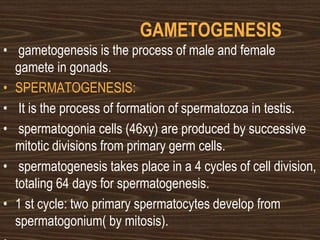 Gametogeneis | PPTX