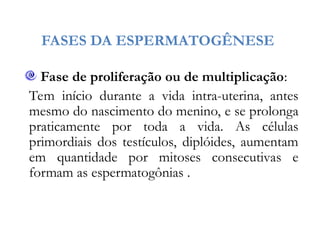 slidesgametogenese.feminina e masculinappt | PPT